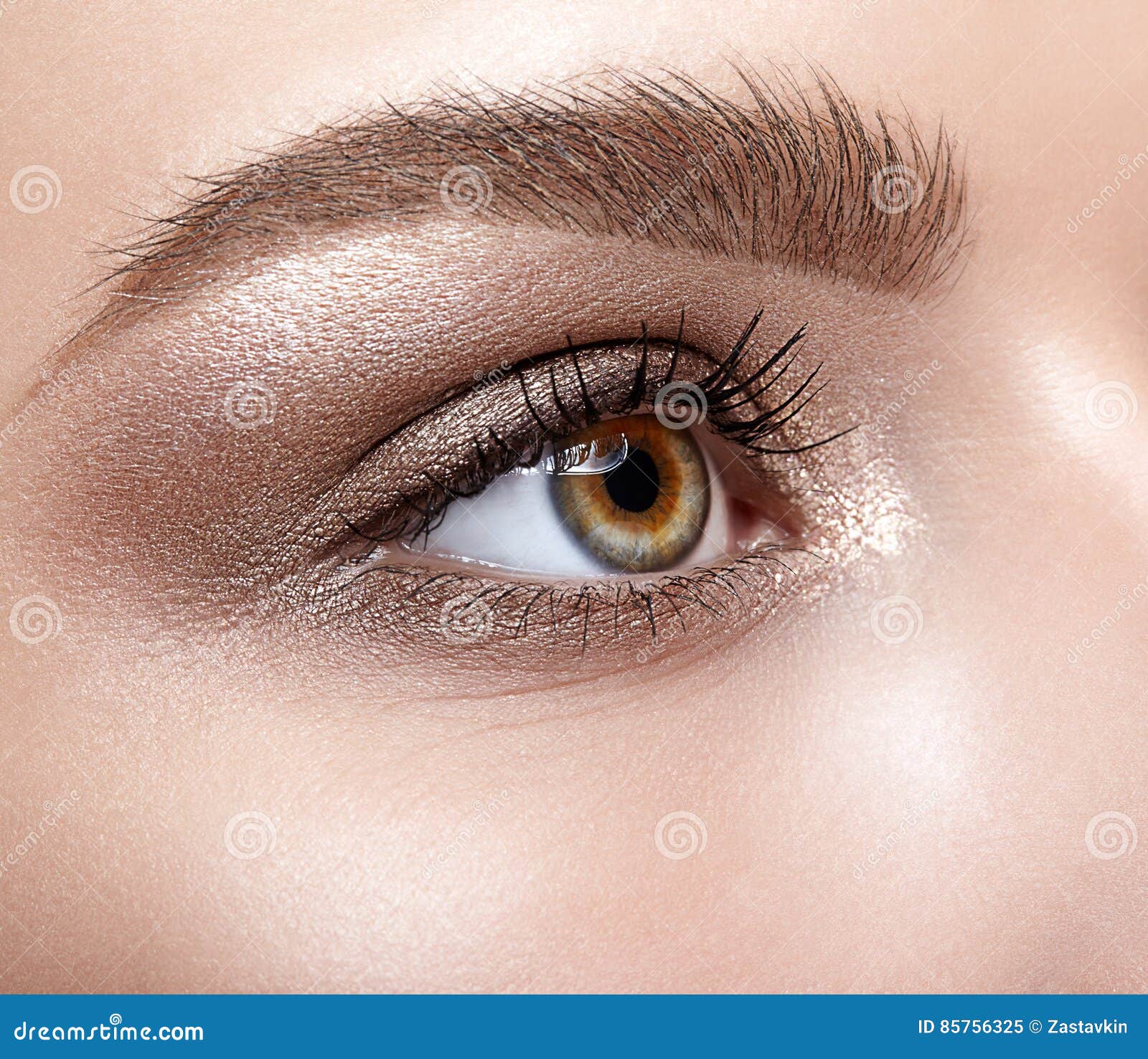 Female Eye Zone and Brows with Day Makeup Stock Image - Image of glamor ...