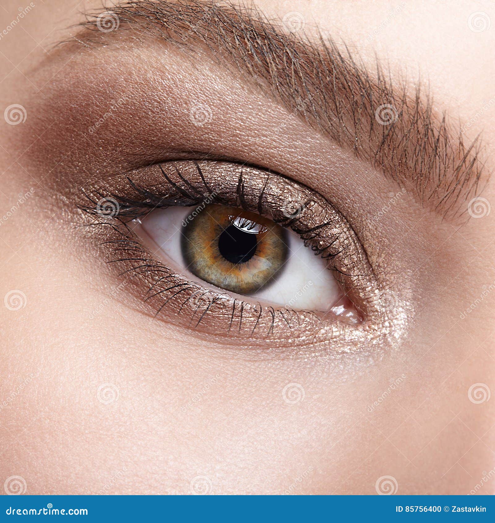 Female Eye Zone and Brows with Day Makeup Stock Photo - Image of ...