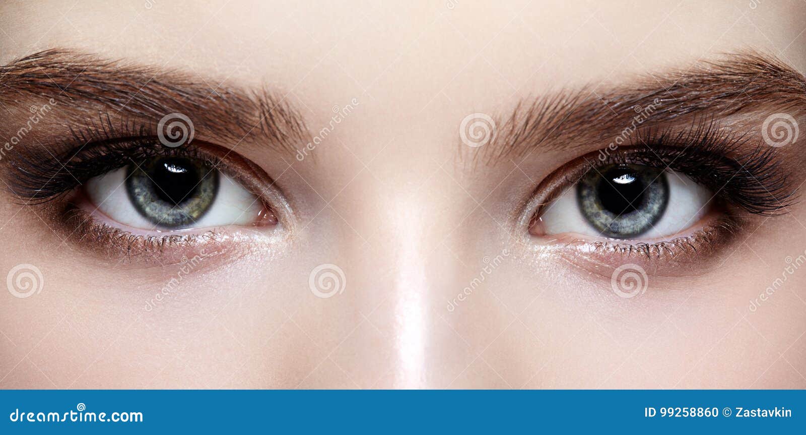 Female Eye Zone and Brows with Day Makeup Stock Photo - Image of ...