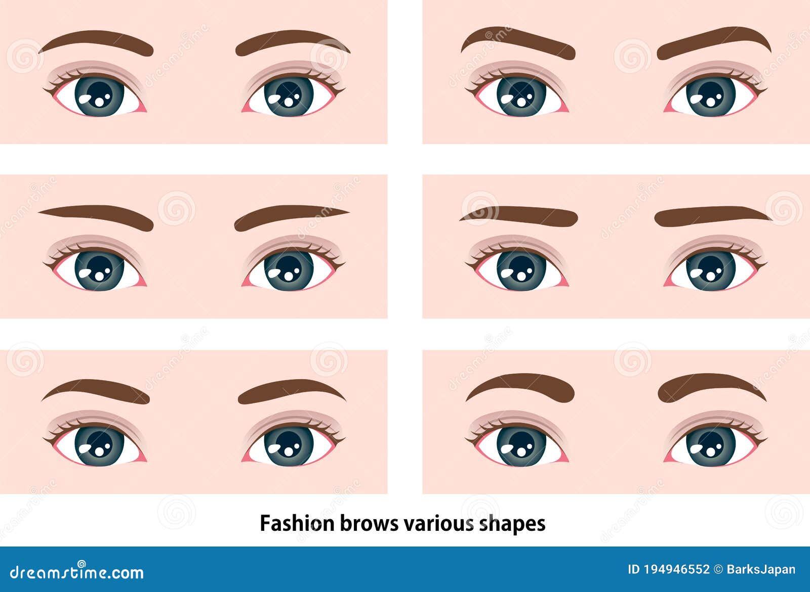 Female Eyebrows Various Shapes Vector Illustration Stock Vector ...