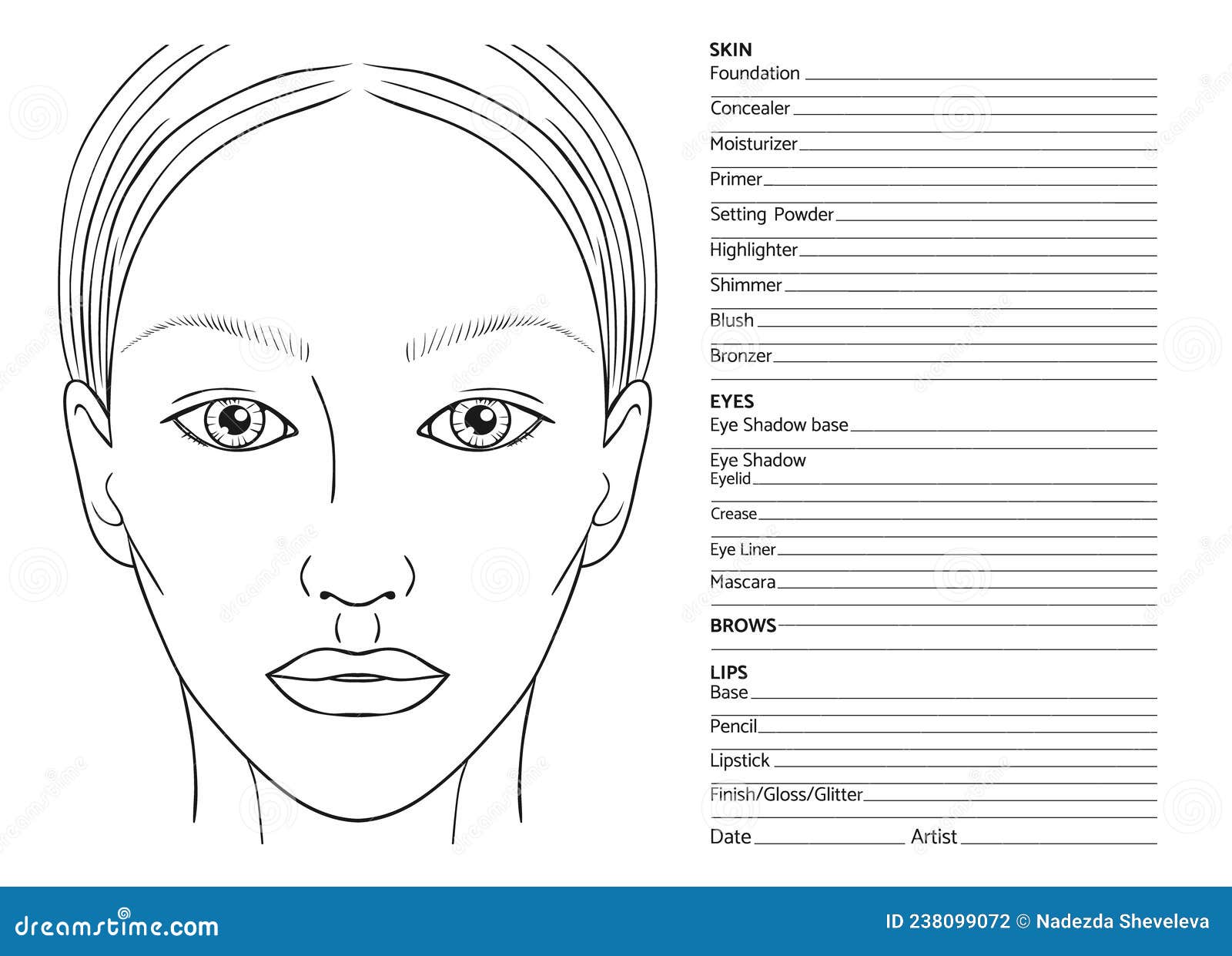 Female face chart stock vector. Illustration of chart - 238099072