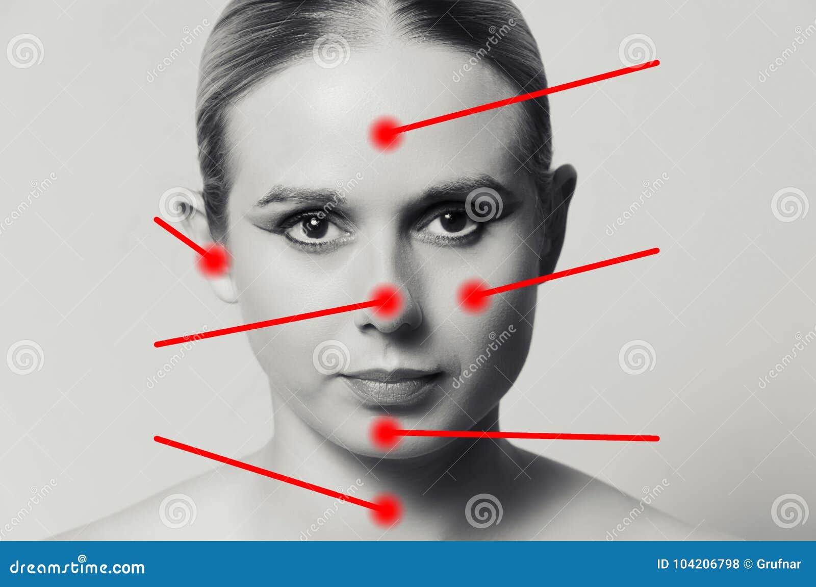 Female Face with Main Areas Pointed Out Stock Photo - Image of fresh ...