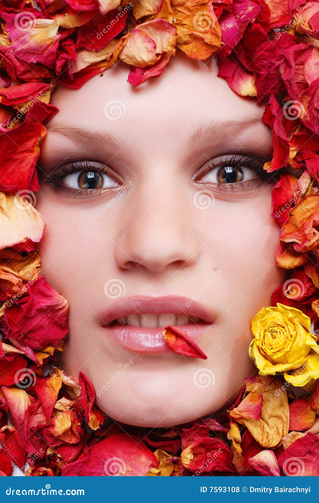 Female face with roses stock photo. Image of close, medicine - 7593108