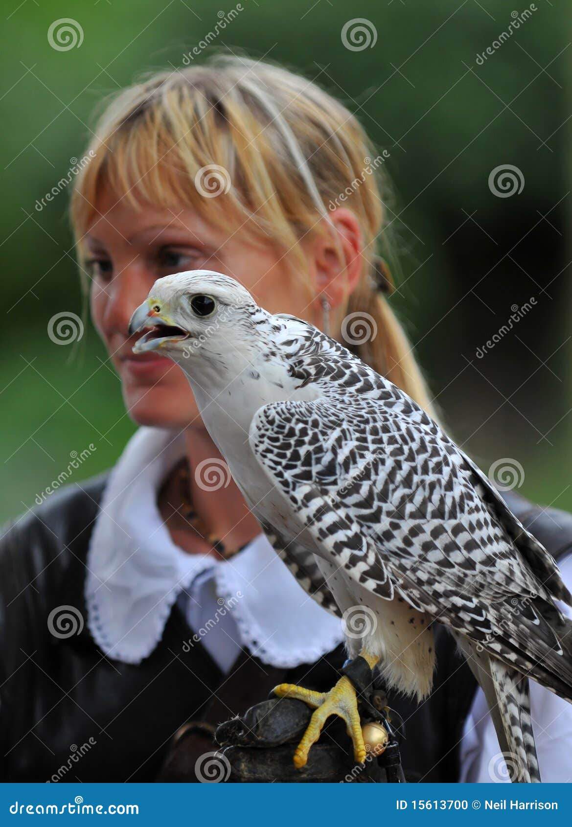Female Falconer editorial image. Image of domesticated - 15613700