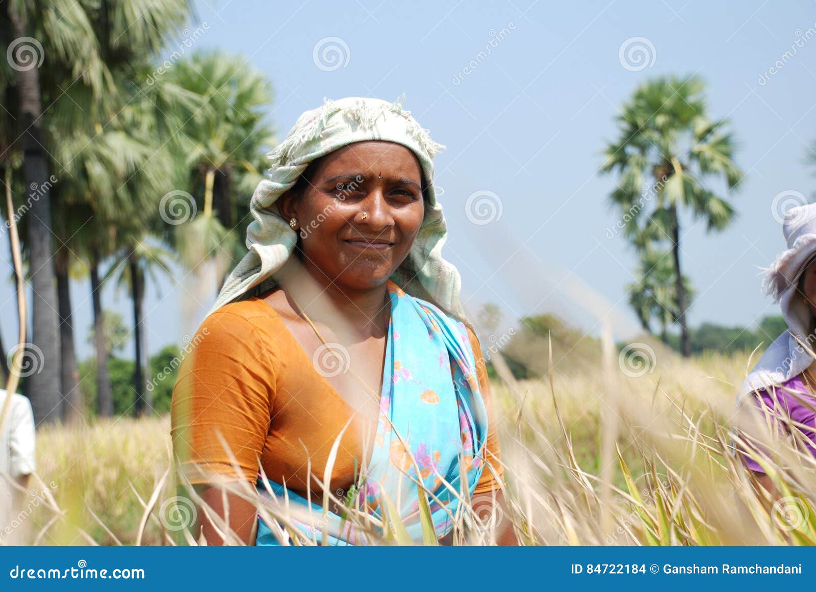 Female farmer editorial stock image. Image of hinterland - 84722184