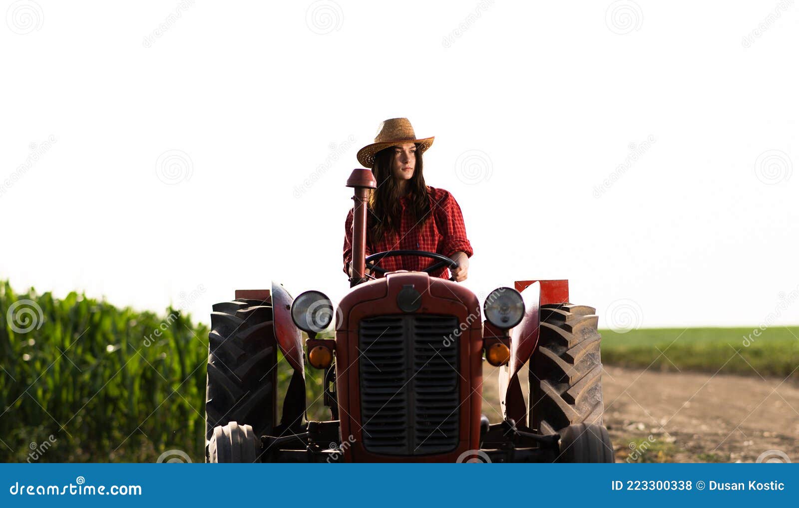 Female Farmer Driving a Tractor Stock Photo - Image of driving, summer ...