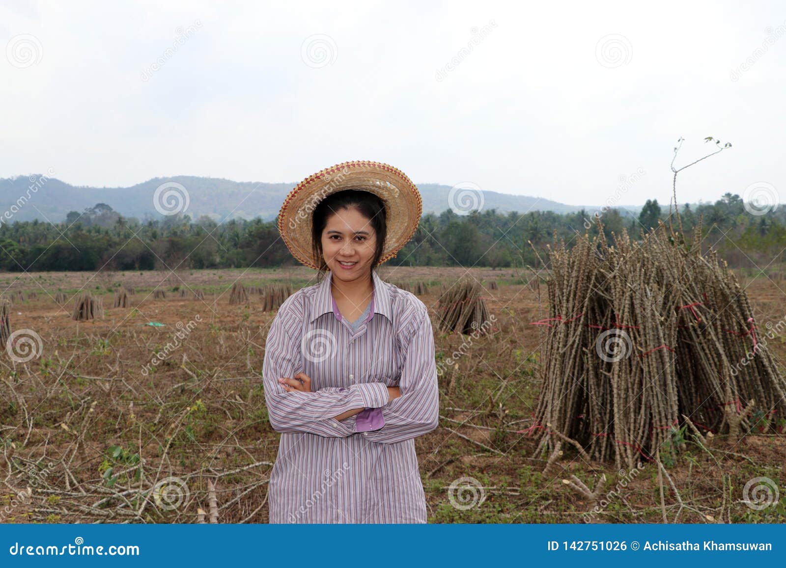 Female Farmer Standing and Hugging Chest beside the Stack of Tapioca ...