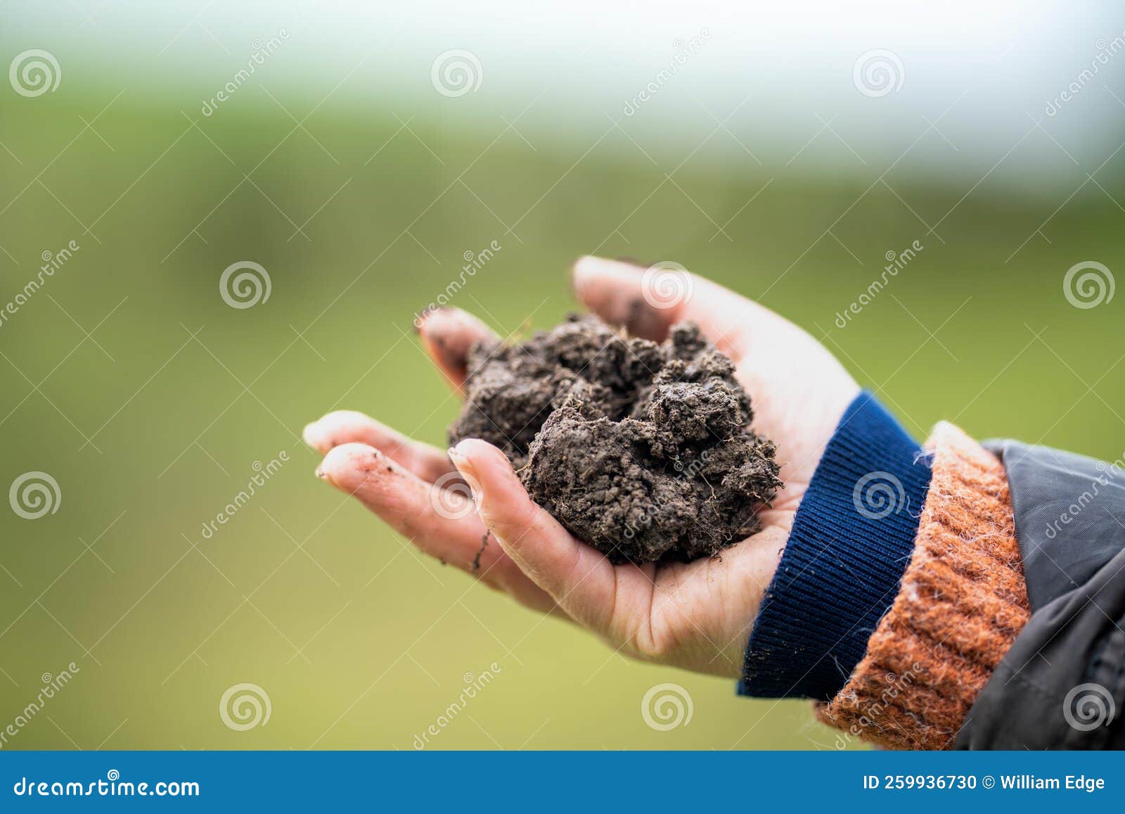 Female Farmer Testing Soil on a Farm Stock Photo - Image of farm ...