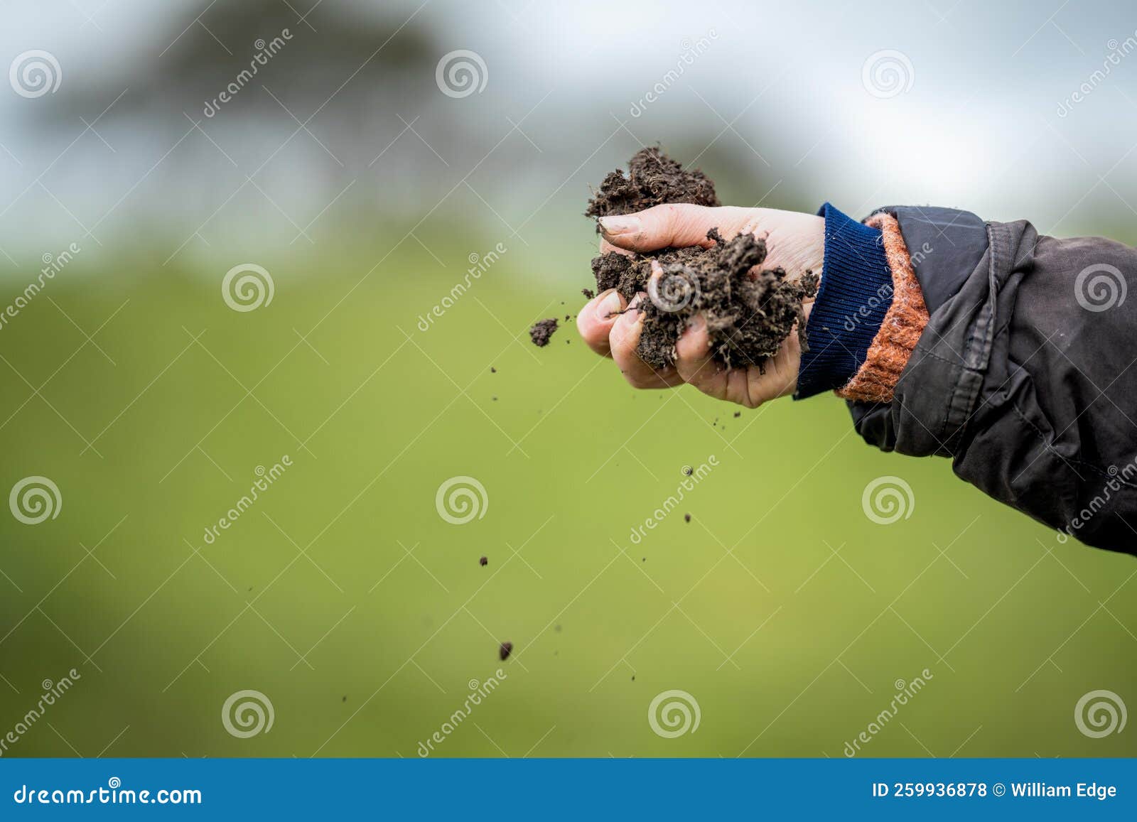 Female Farmer Testing Soil on a Farm Stock Photo - Image of farm ...