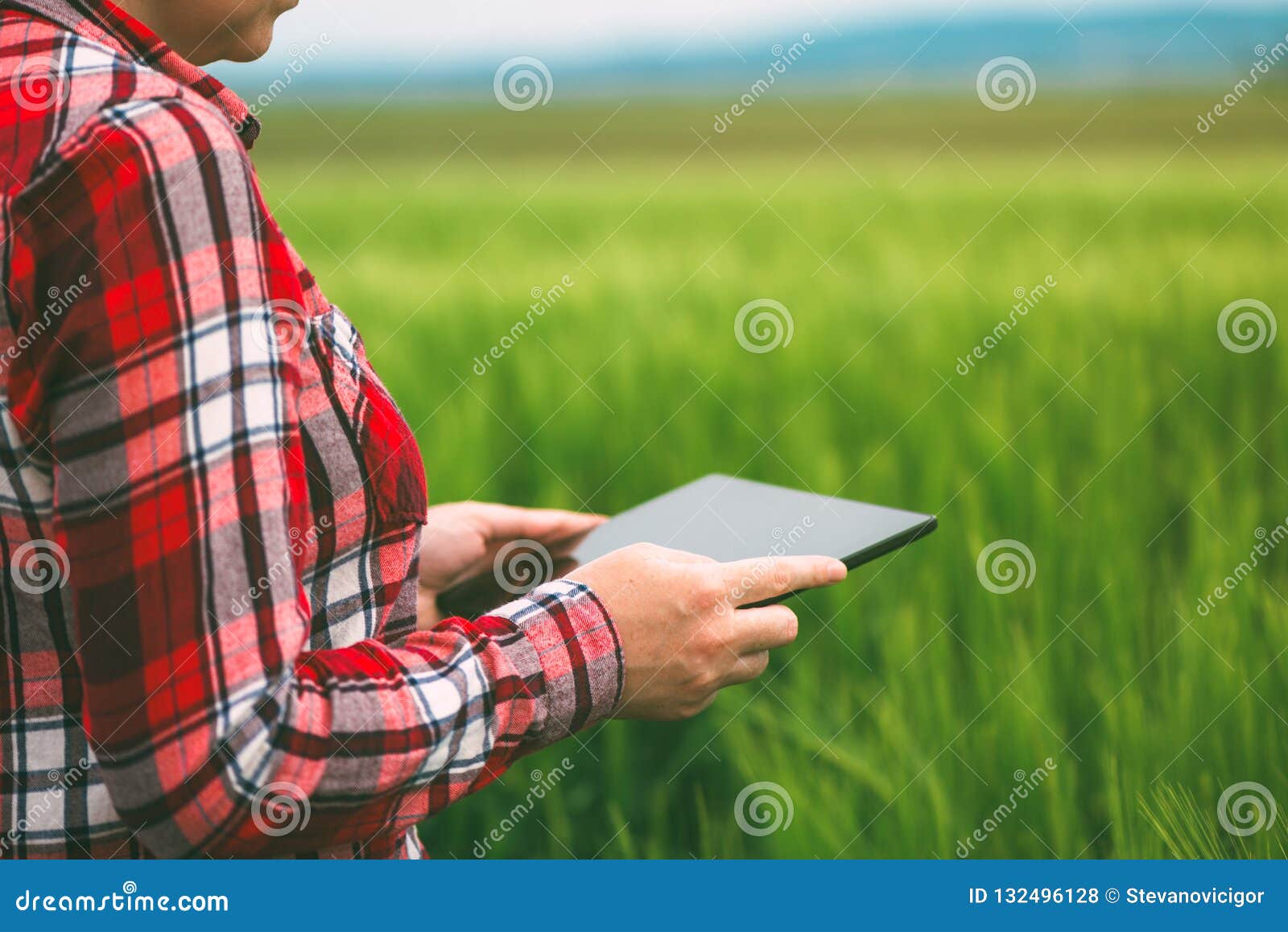 Female Farmer Using Tablet Computer in Wheat Crop Field Stock Photo ...