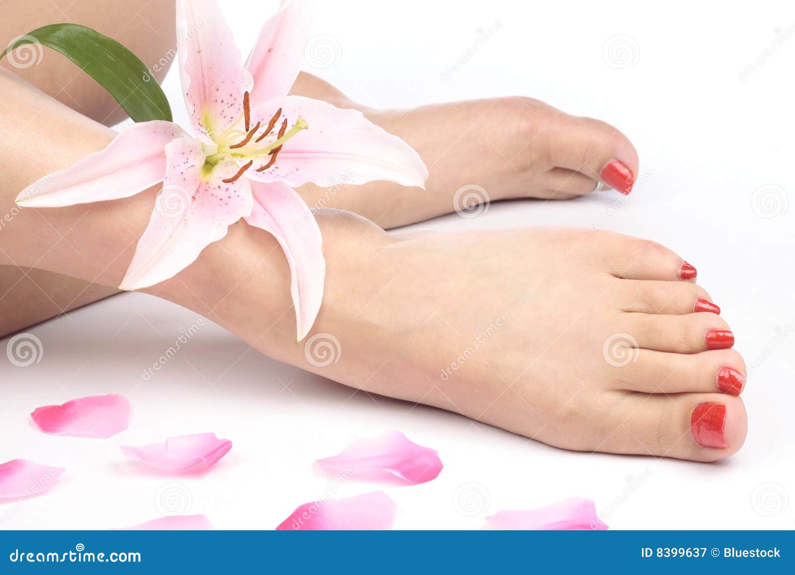 Female feet and flower stock image. Image of legs, lifestyle - 8399637