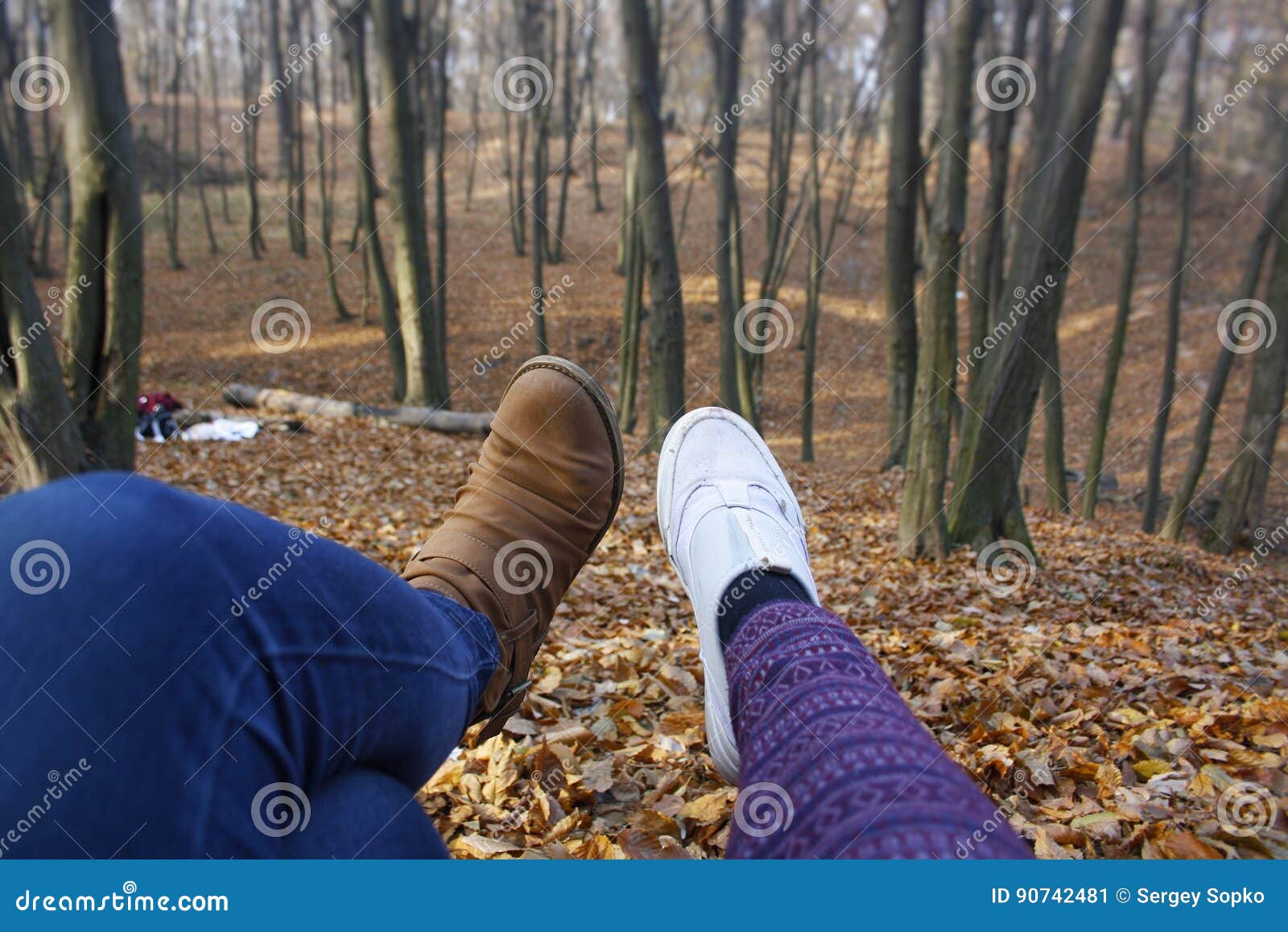 Female Feet, Forest, Foliage Stock Image - Image of forest, earth: 90742481