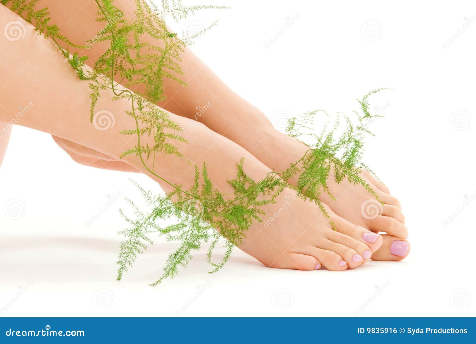Female Feet with Green Plant Stock Photo - Image of healthcare, bare ...