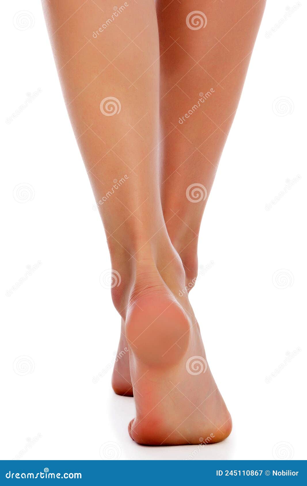 Female Feet Isolated on White Background Stock Image - Image of ...