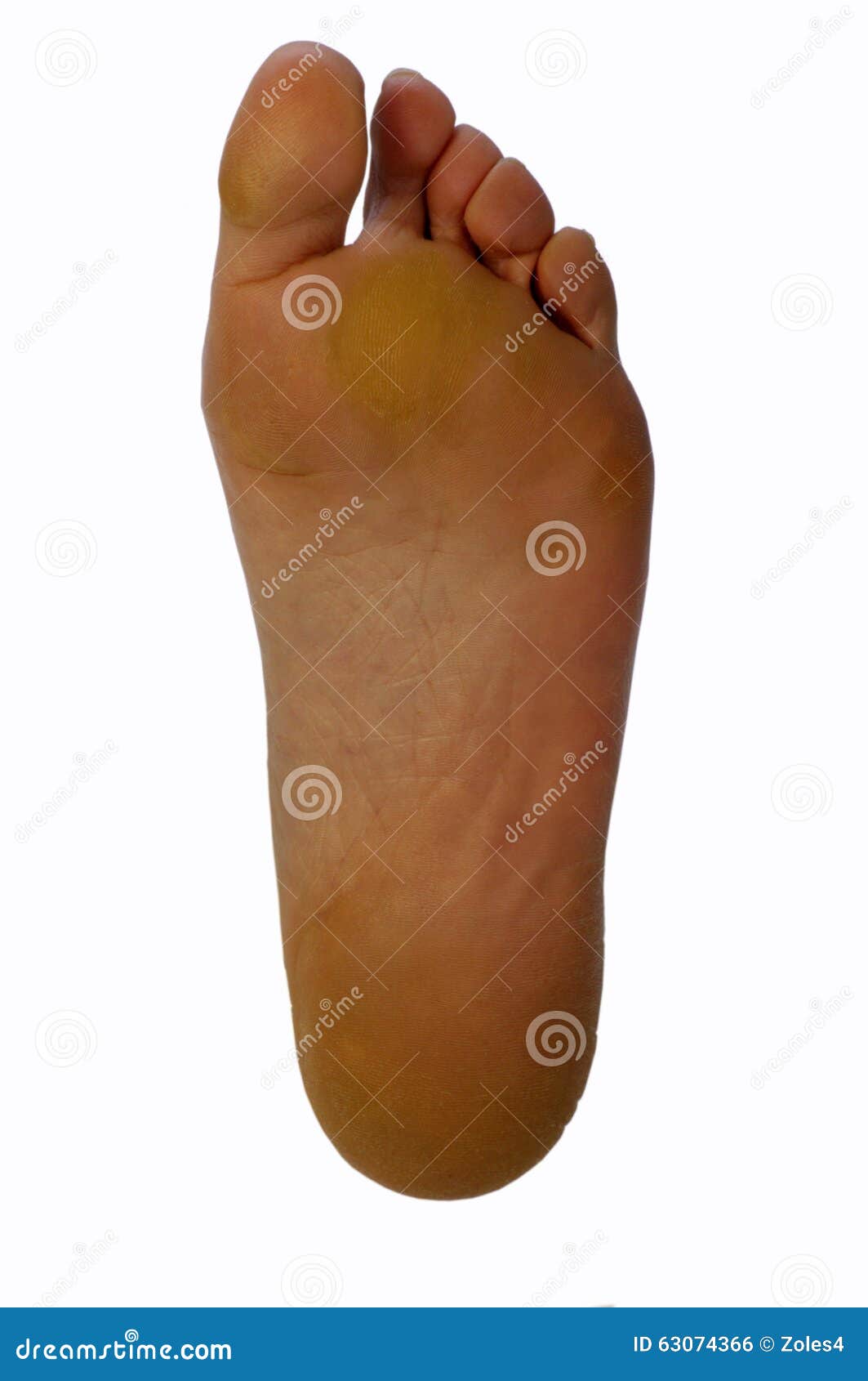 Female feet stock photo. Image of left, toes, white, healthy - 63074366