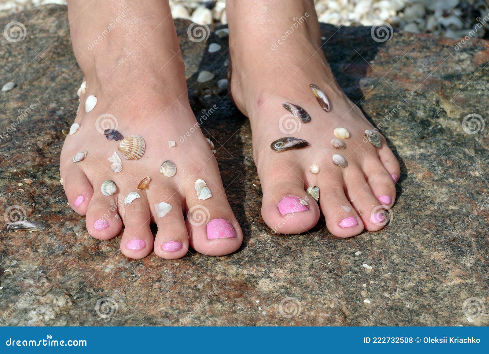 Female feet with shells stock photo. Image of finger - 222732508