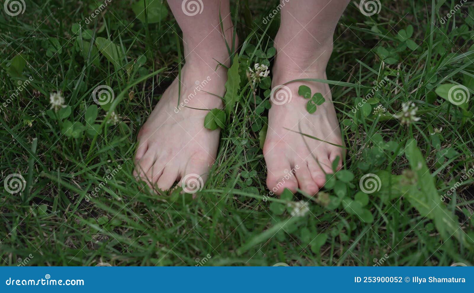 Female Feet Stand on the Grass Stock Footage - Video of toes ...