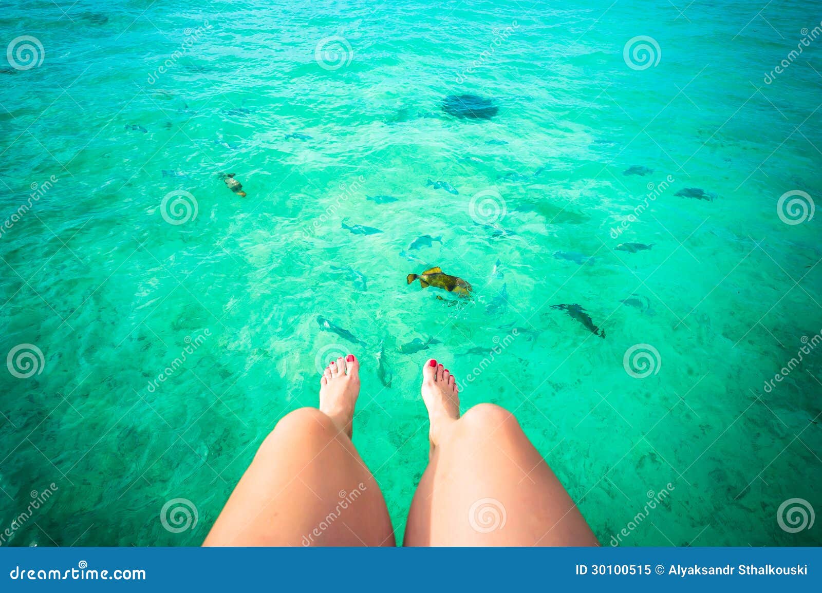 Female Feet and the Tropical Ocean Stock Image - Image of fish, female ...