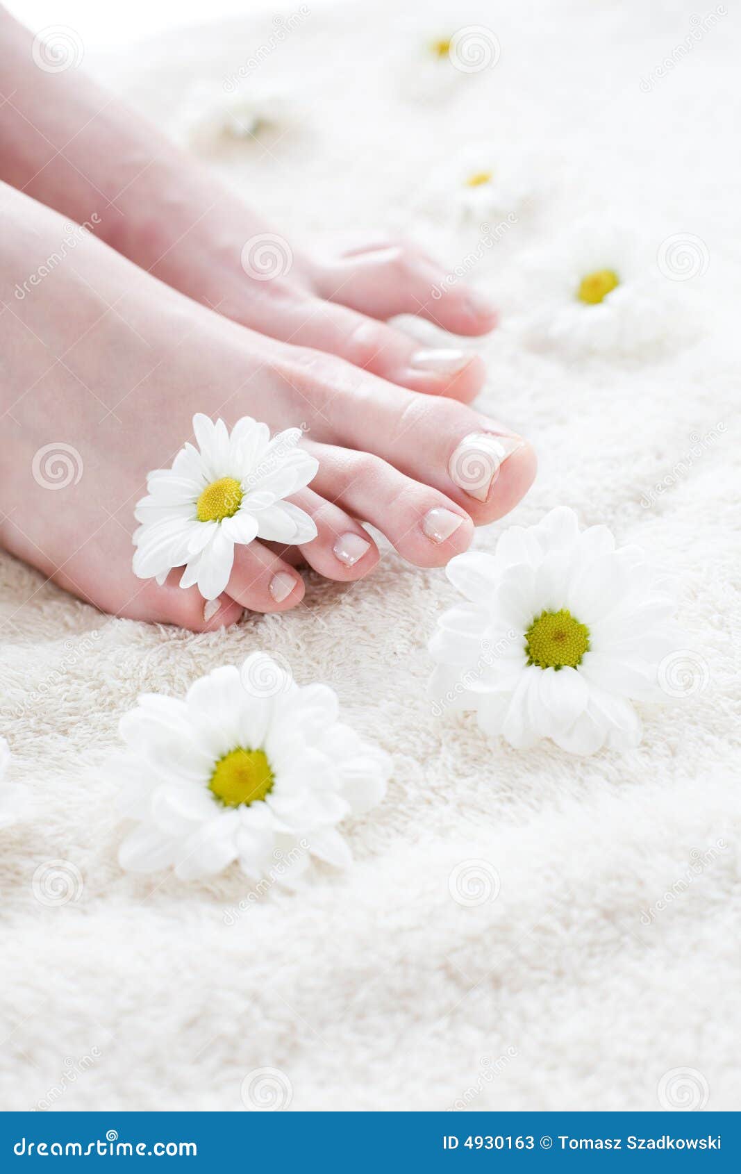 Female Feet with White Daisies. Stock Image - Image of health, daisy ...