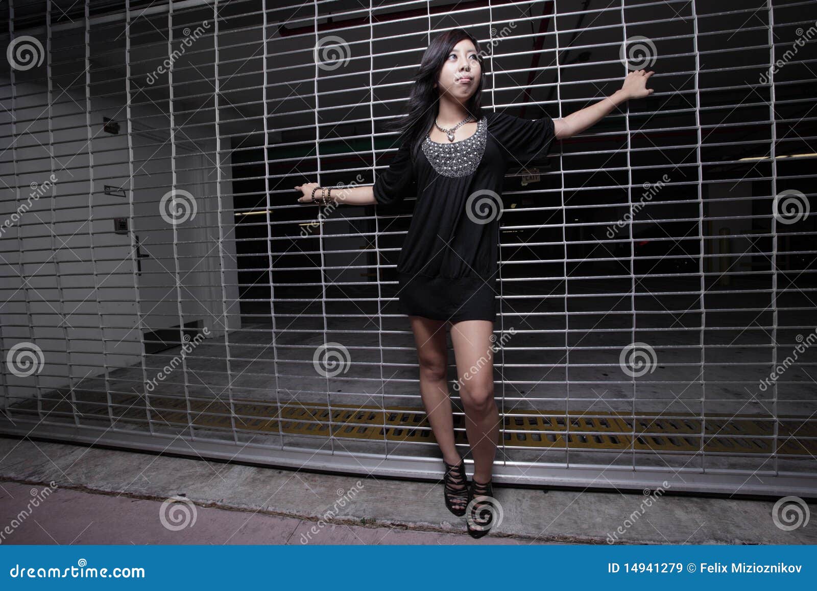 Female on the fence stock image. Image of hairstyle, modern - 14941279