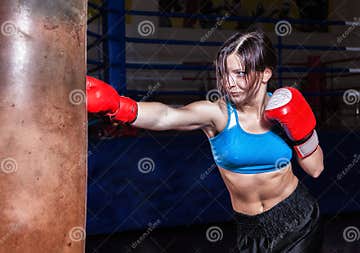 Female Fighter Posing in Combat Poses Stock Image - Image of person ...