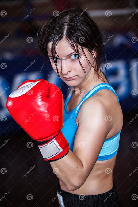 Female Fighter Posing in Combat Poses Stock Photo - Image of boxing ...