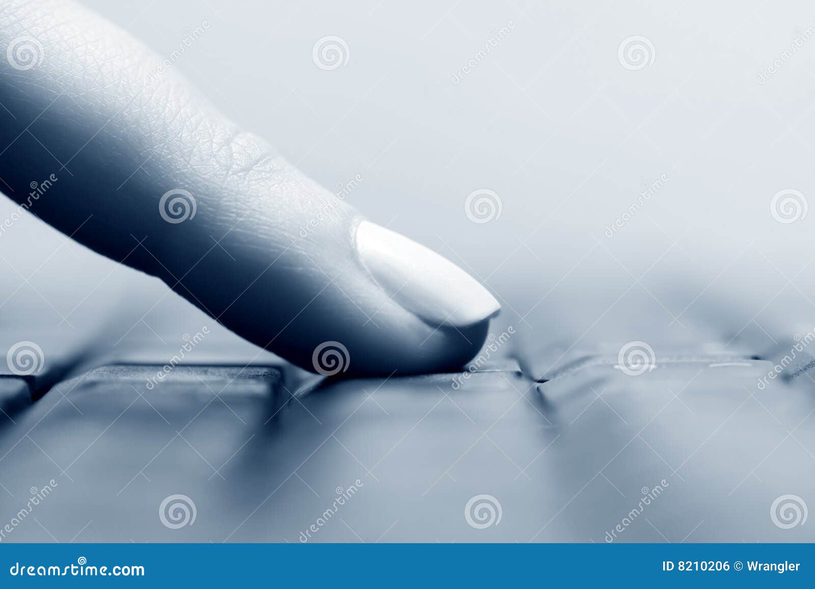 Female Finger Typing on Computer Keyboard Stock Photo - Image of data ...