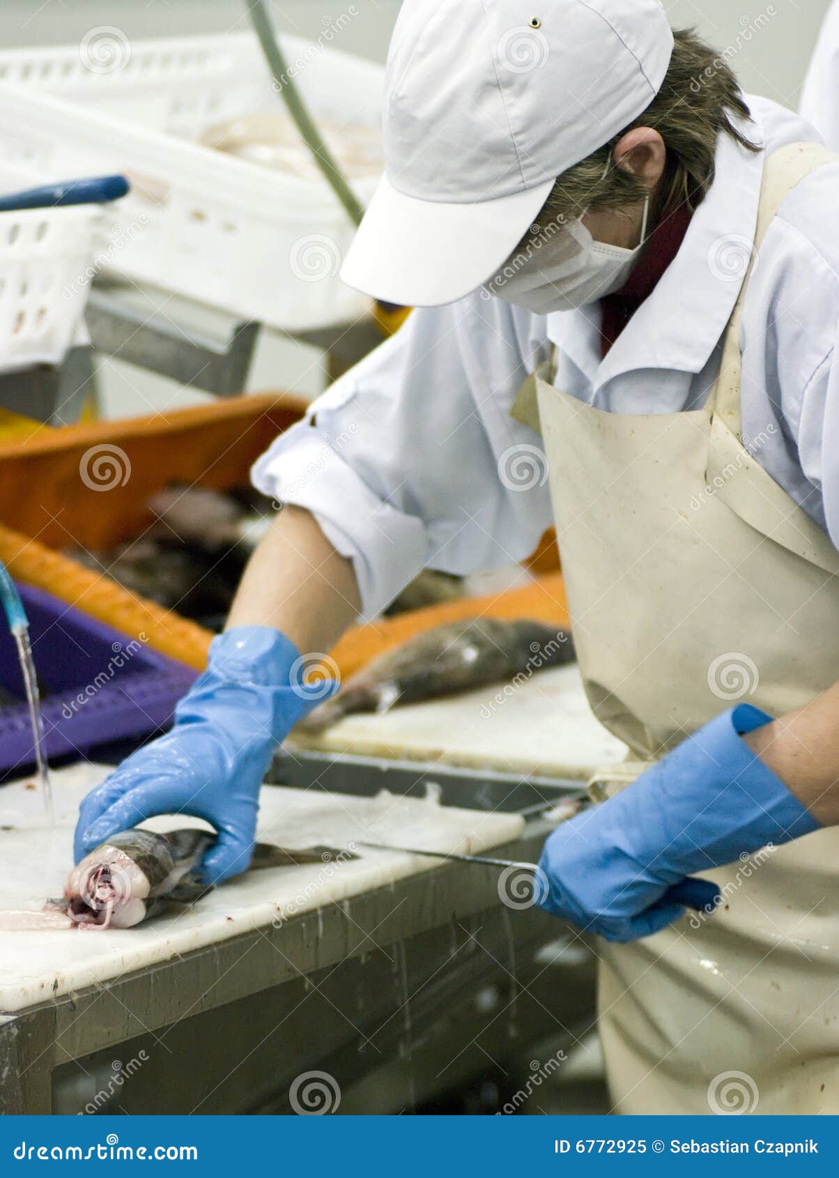 Female Fish Cutter in Action Stock Image - Image of factories, knife ...