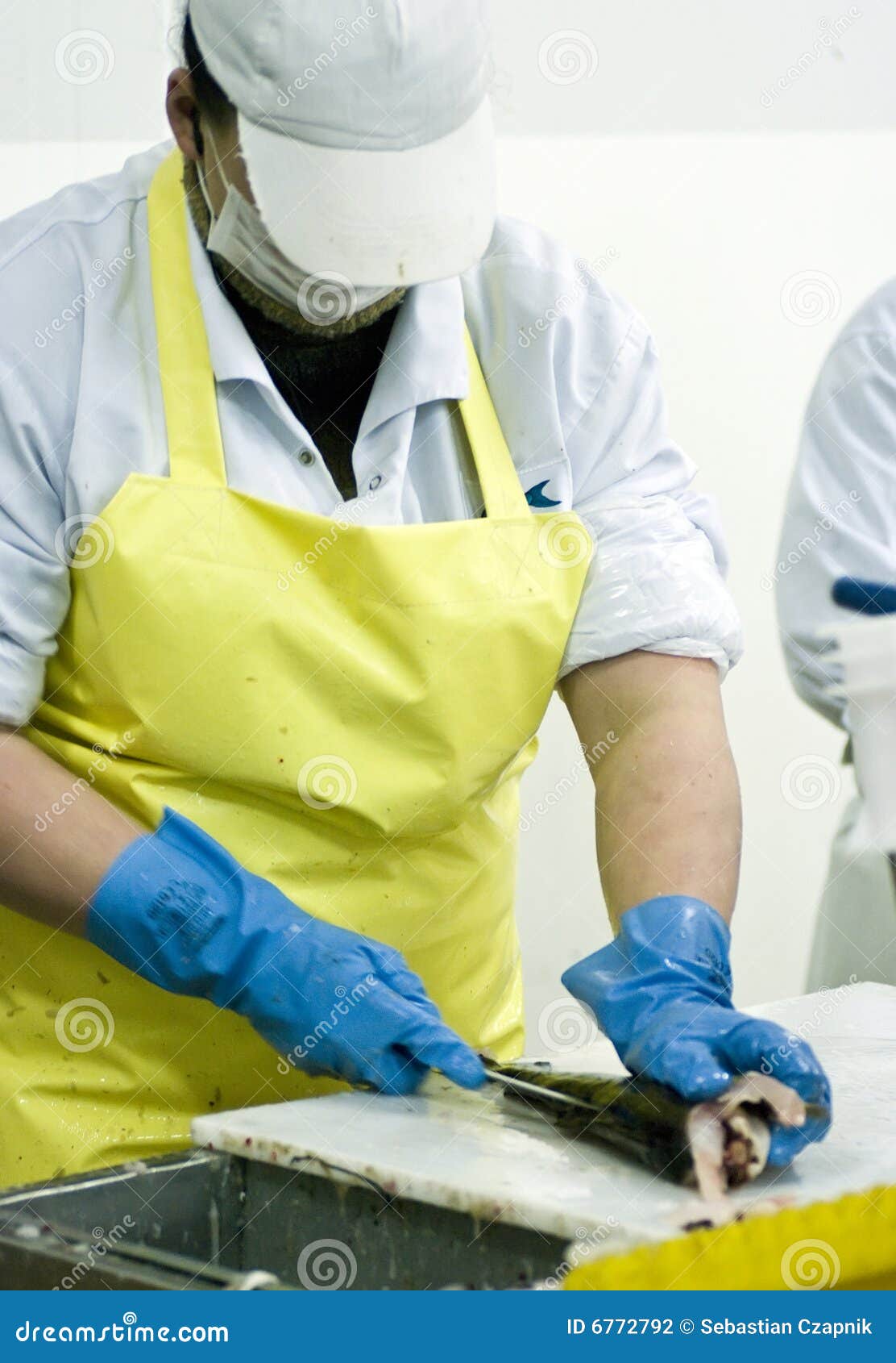 Female fish cutter at work stock photo. Image of hands - 6772792
