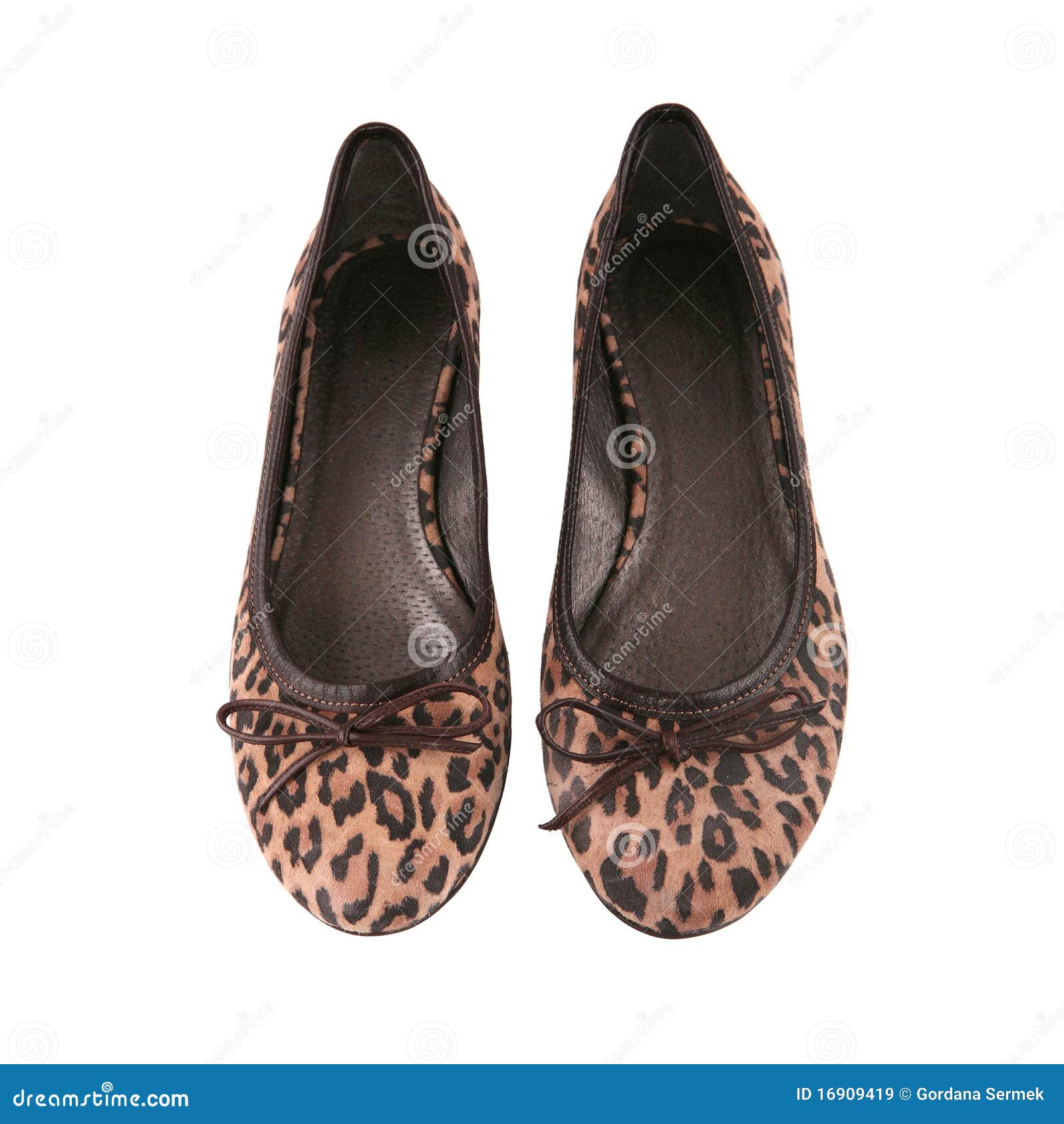 Female Flat Ballet Shoes with Leopard Pattern Stock Image - Image of ...