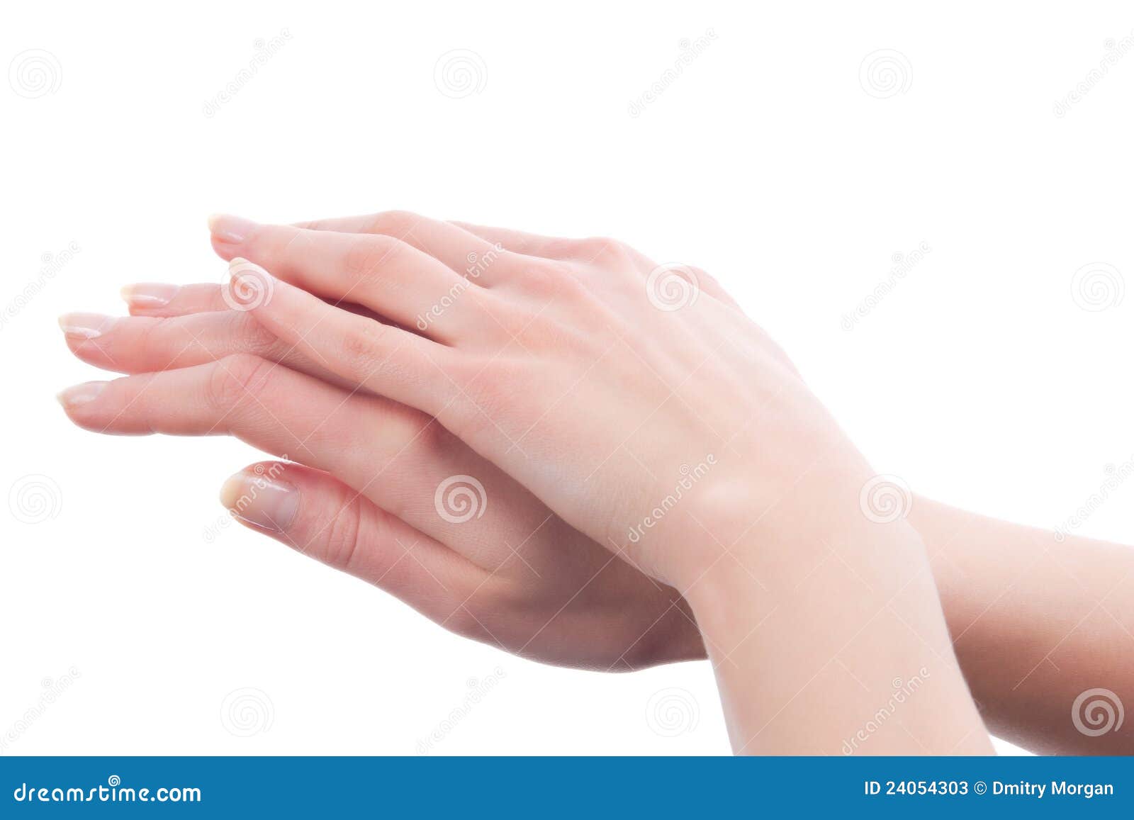 Female folded hands stock image. Image of finger, skin - 24054303