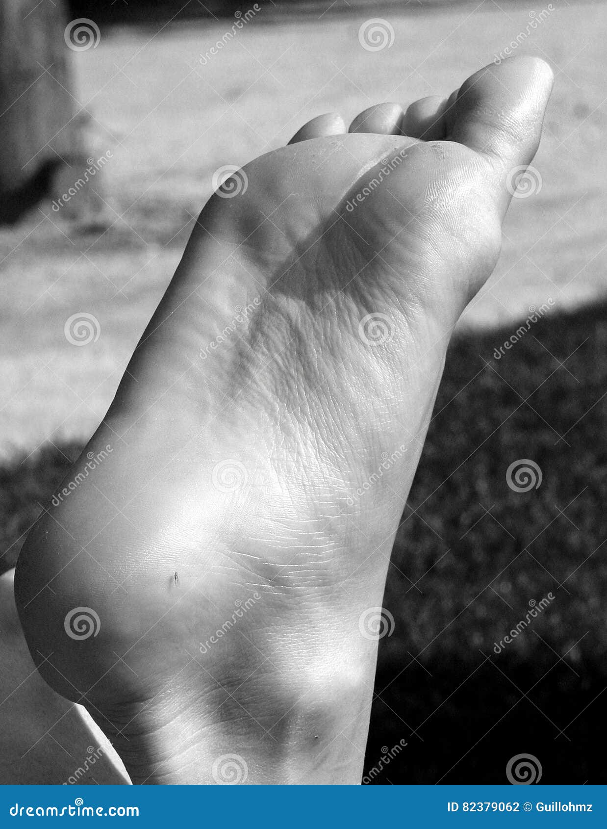 Female foot Plant stock photo. Image of plant, female - 82379062