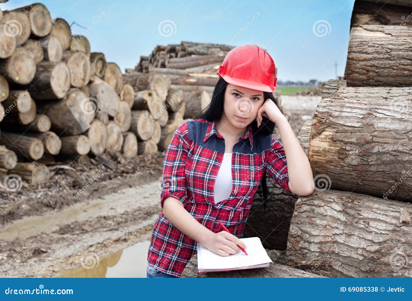 Female Forest Engineer beside Logs Stock Photo - Image of ecology ...