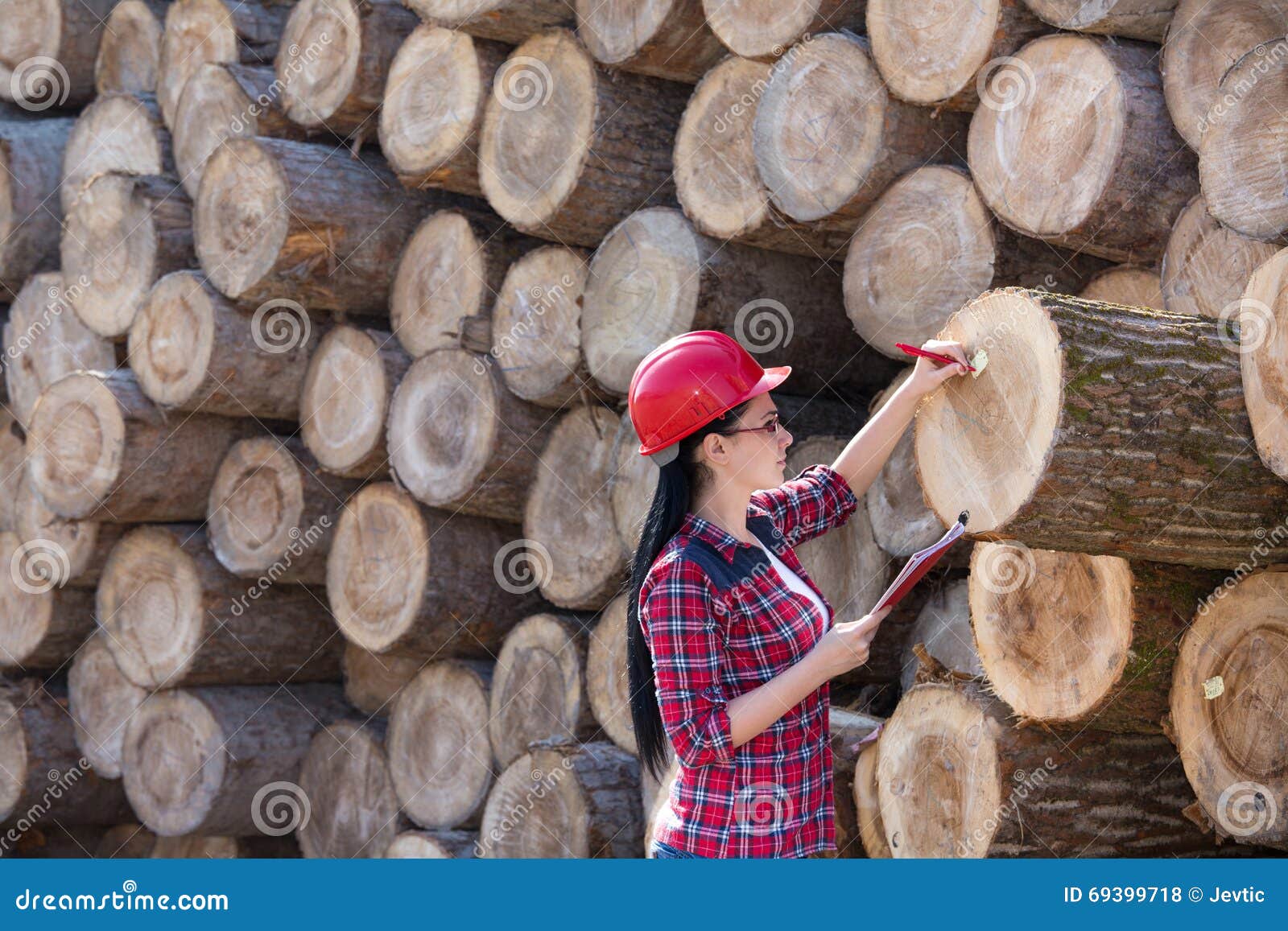Female Forest Engineer beside Logs Stock Photo - Image of planning ...