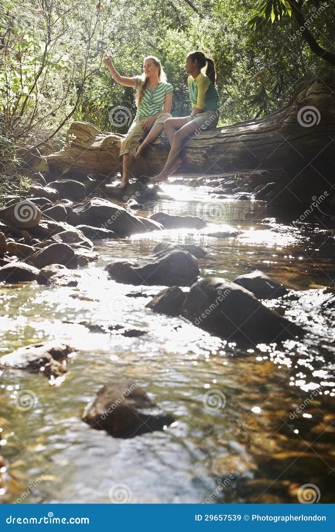 Female Friends Sitting on Log Over Forest Stream Stock Image - Image of ...