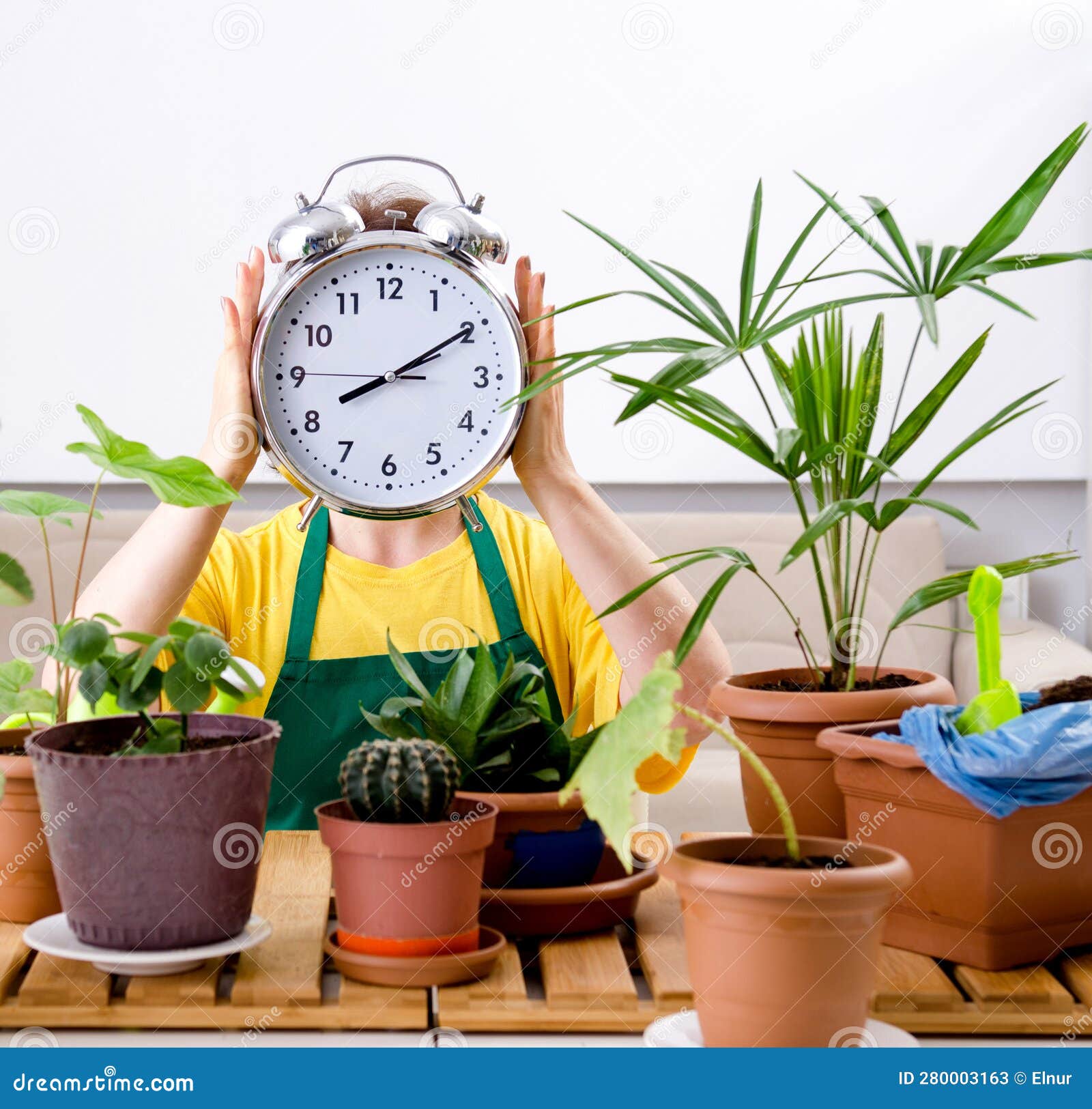 Female Gardener with Plants Indoors Stock Image - Image of botanical ...