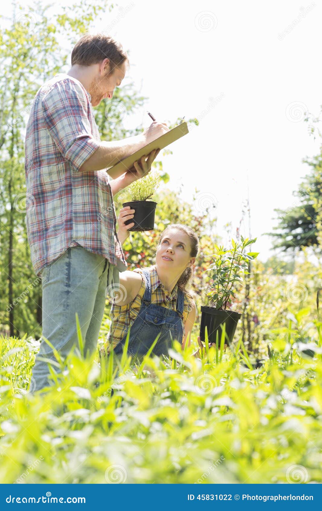 Female Gardener Showing Potted Plants To Supervisor at Garden Stock ... Female Gardener Showing Potted Plants To Supervisor at Garden Stock ...