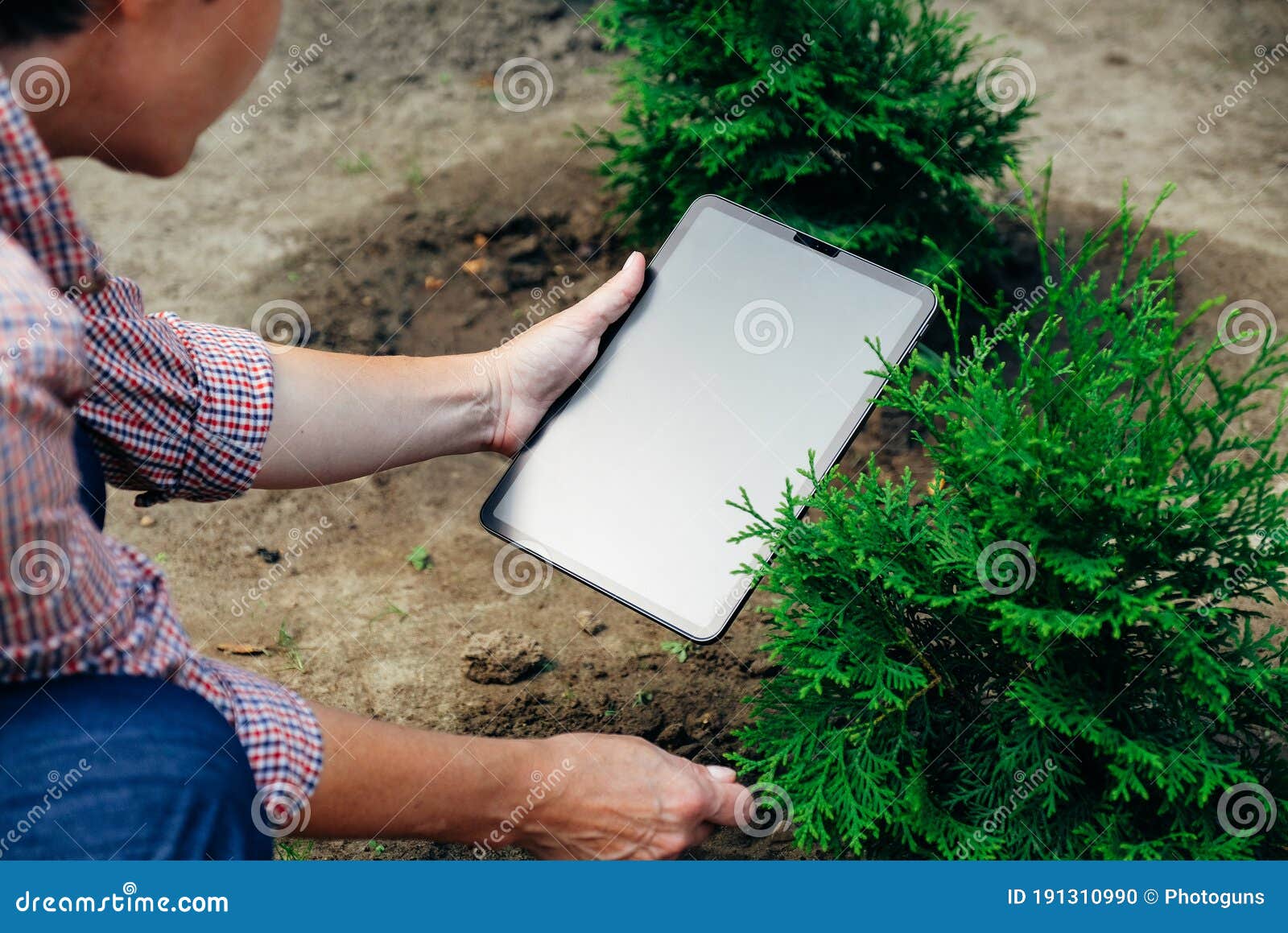 Female Gardener Using Digital Tablet Computer in Her Garden, Check ...
