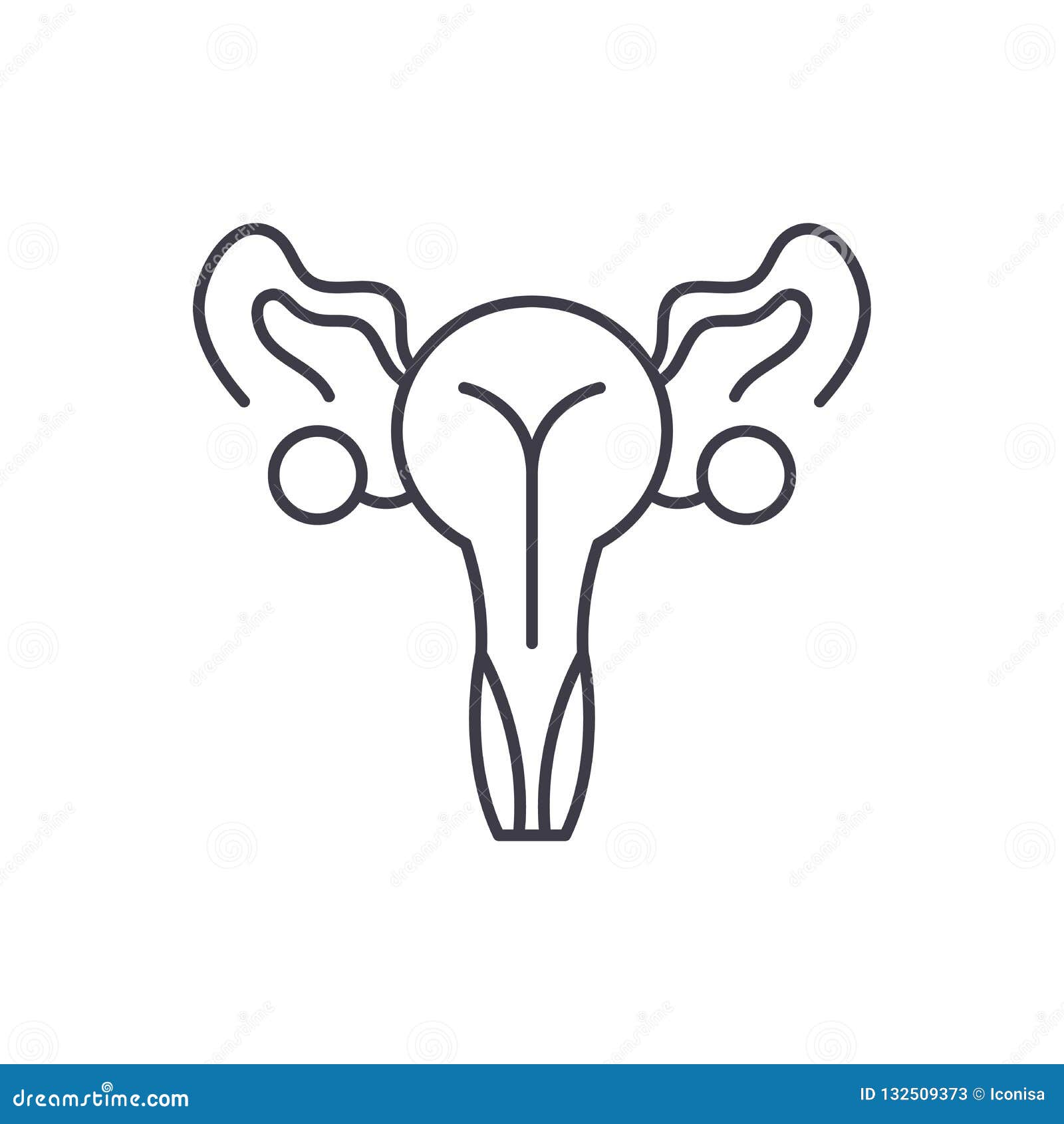 Female Genitals Line Icon Concept Female Genitals Vector Linear
