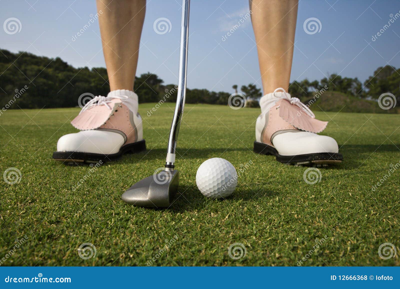 Female Golfer Putting stock photo. Image of golf, club - 12666368