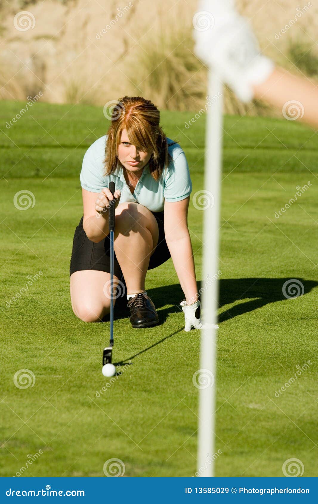 Female golfer putting stock image. Image of sport, length - 13585029