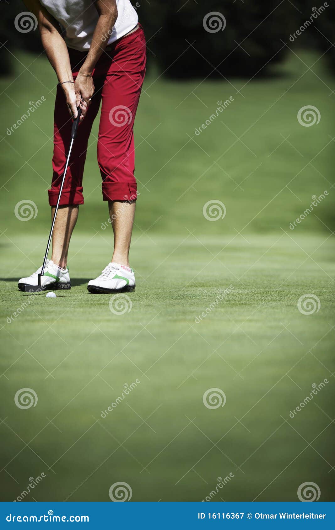 Female golfer putting stock image. Image of golfing, outdoors - 16116367