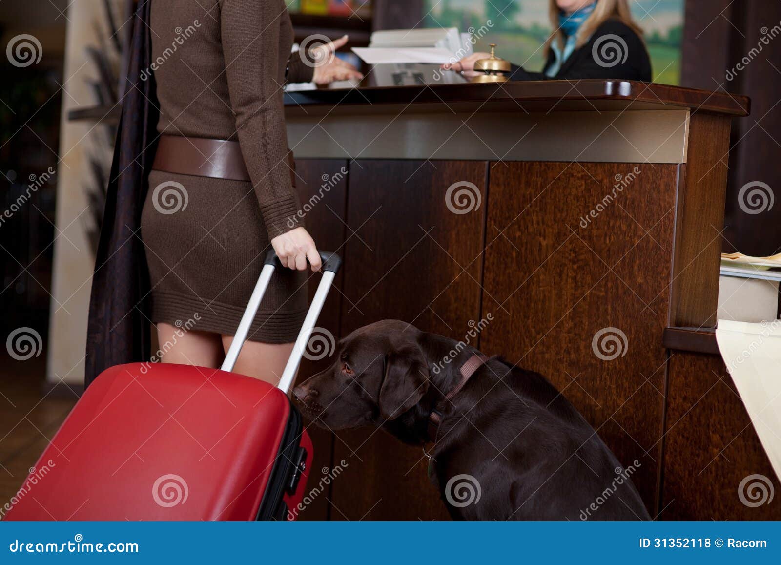 Female Guest with Dog at Hotel Reception Stock Photo - Image of ...