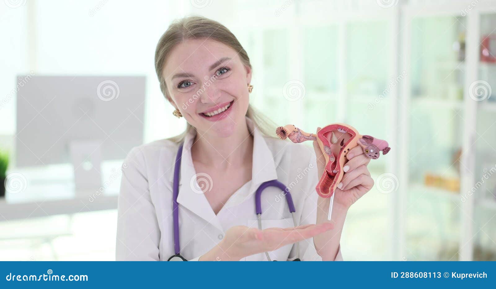 Female Gynecologist Doctor Holds Model Of Female Reproductive System In