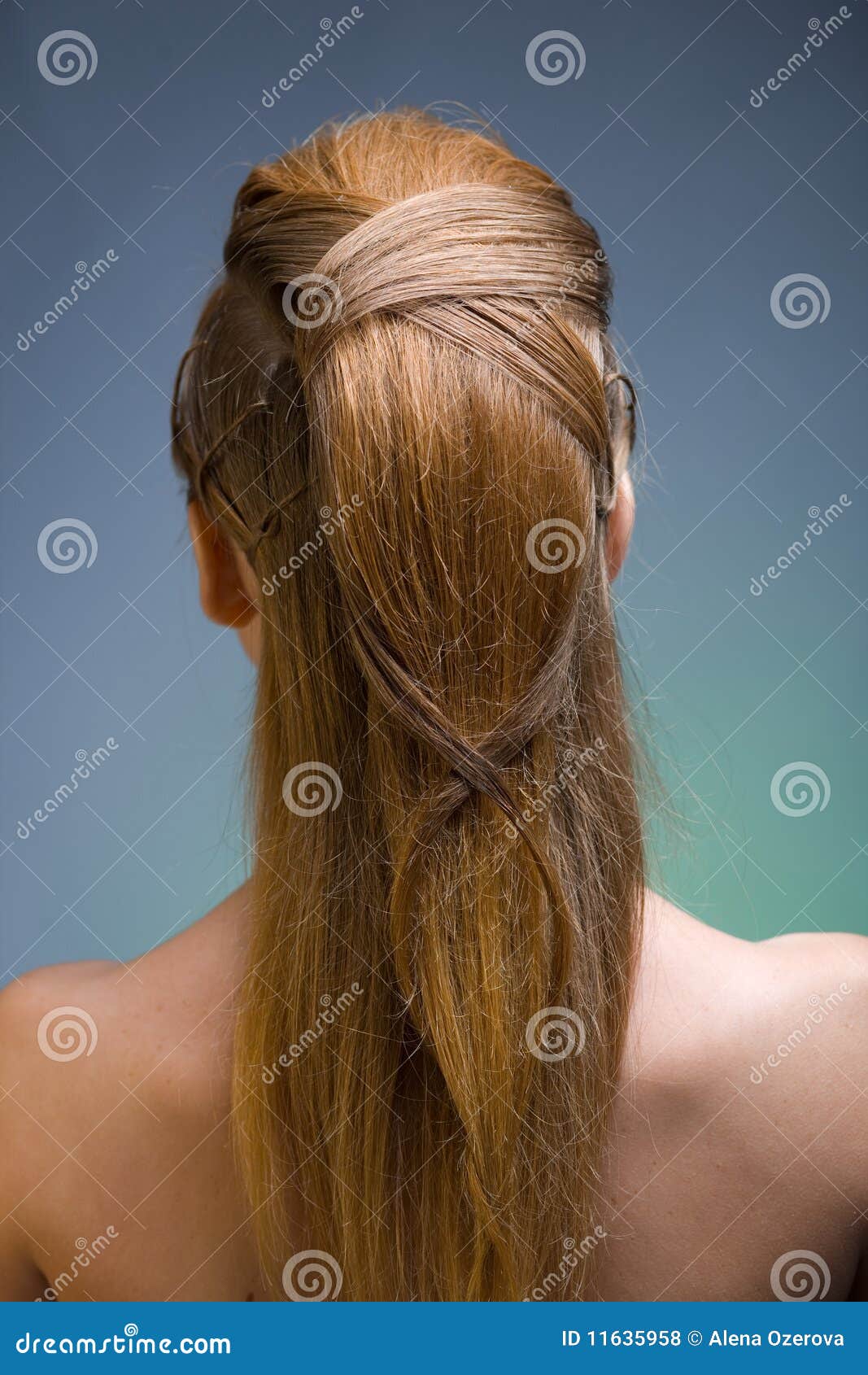Female hairstyle stock photo. Image of human, ceremonial - 11635958