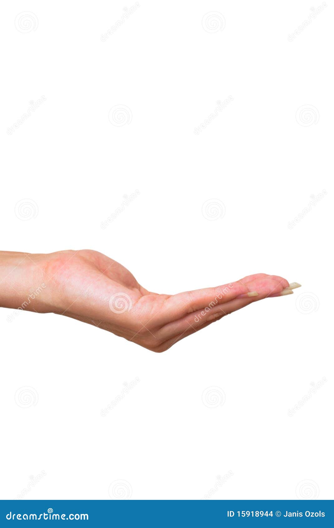 Female hand stock photo. Image of love, hand, charity - 15918944