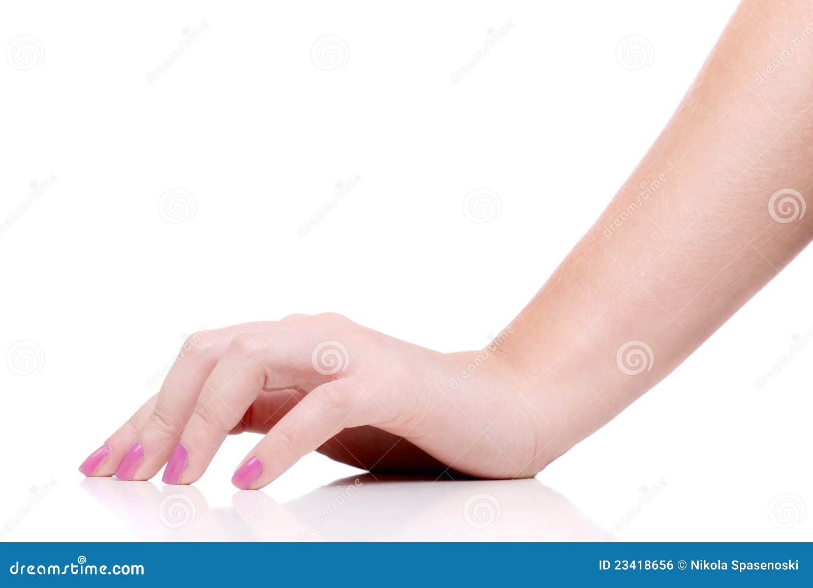 Female hand stock photo. Image of woman, adult, beauty - 23418656