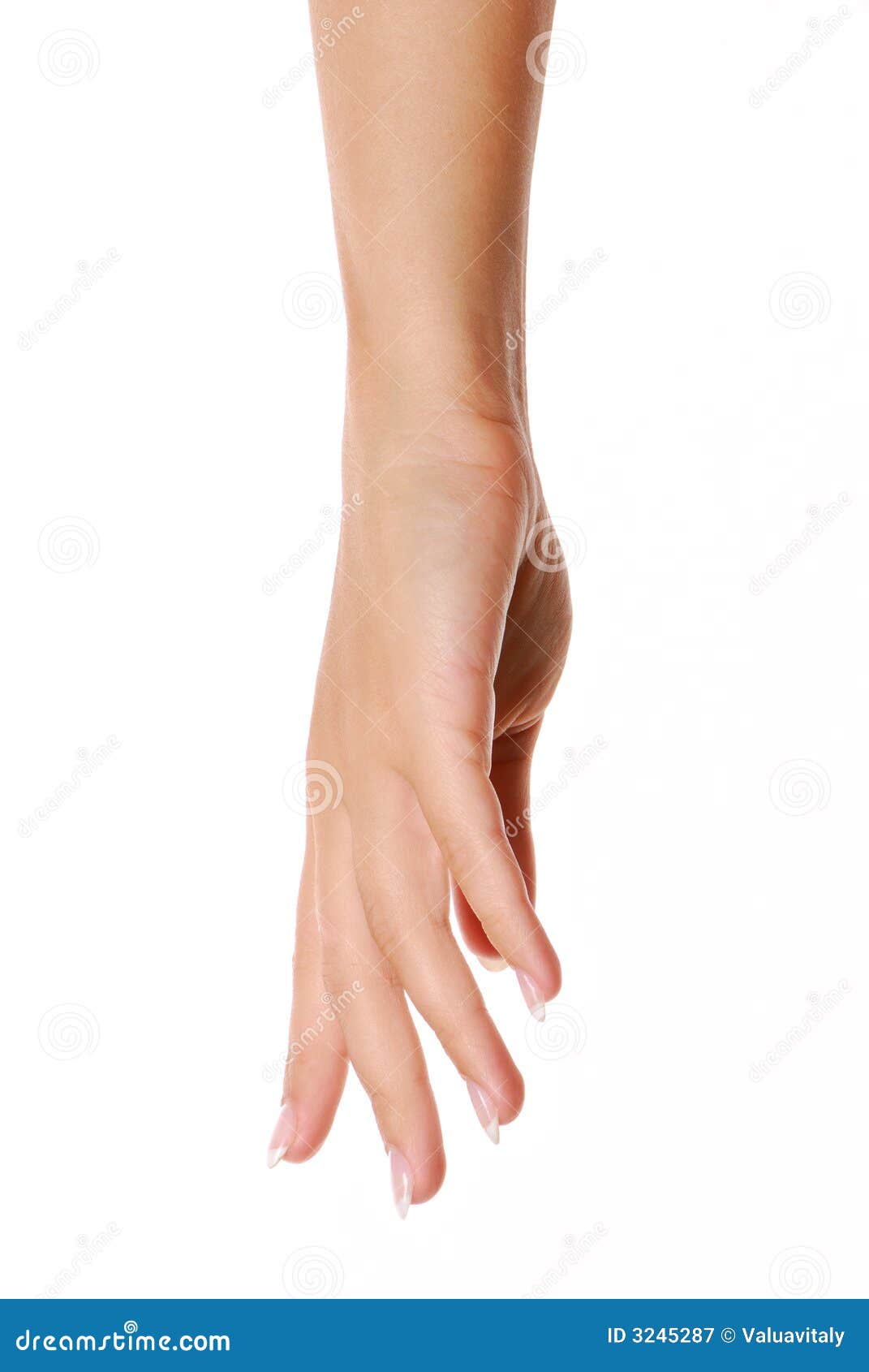 Female hand stock image. Image of elegance, direction - 3245287