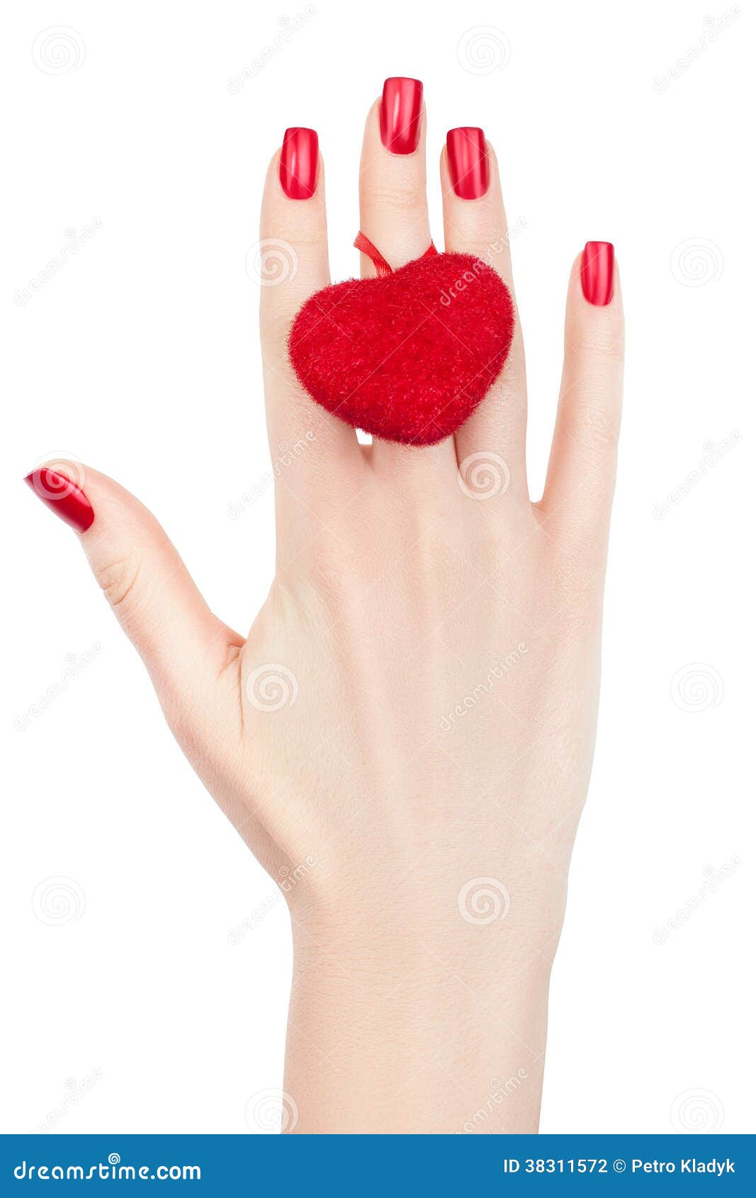 Female hand. stock photo. Image of caucasian, hand, closeup - 38311572