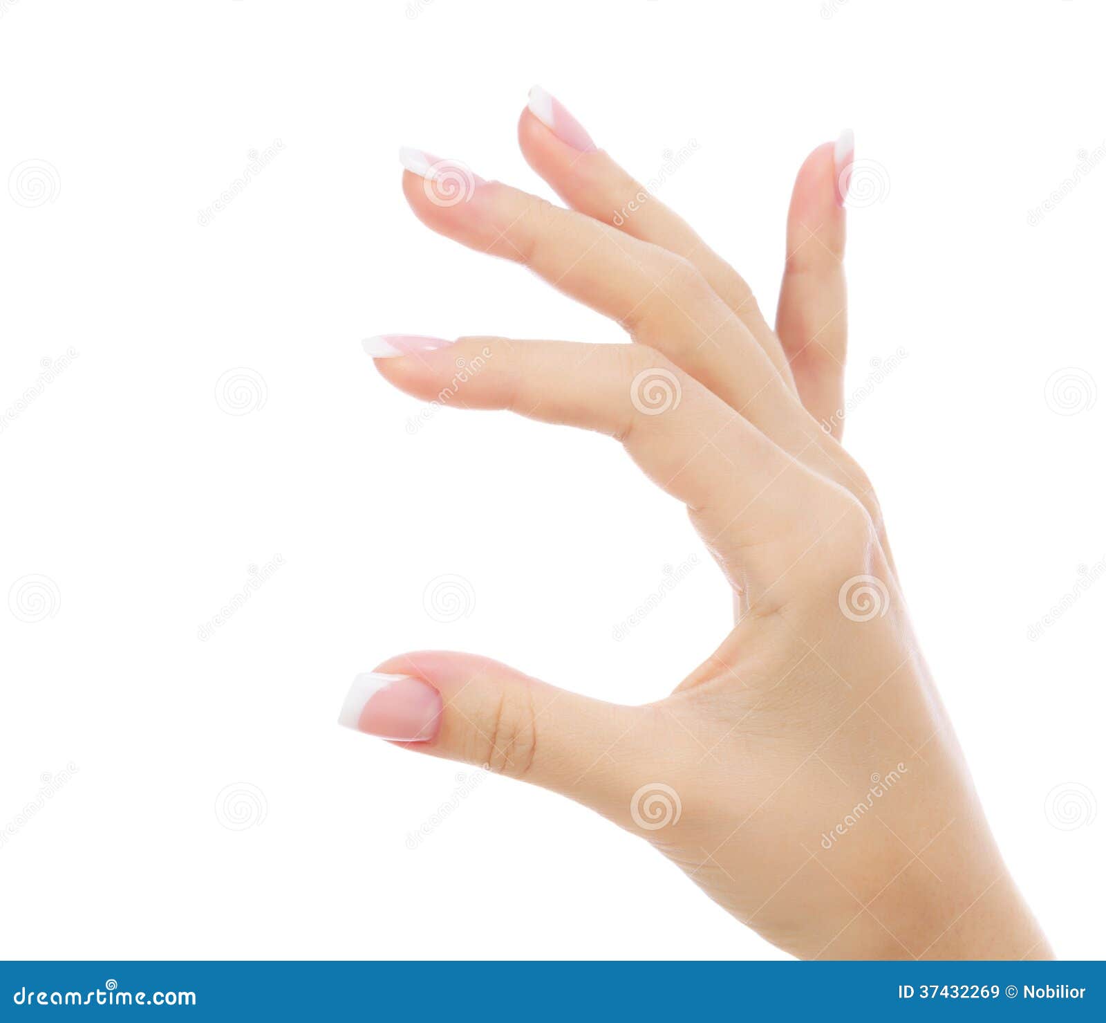 Female hand stock image. Image of empty, hand, give, closeup - 37432269